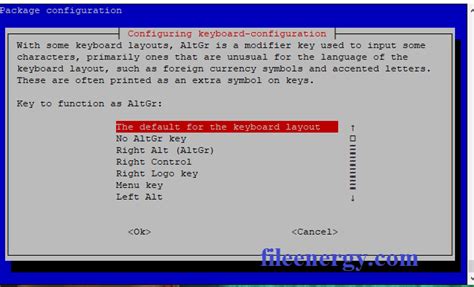 Инструкция по установке и настройке терминального сервера на базе Linux Debian 10 с графической