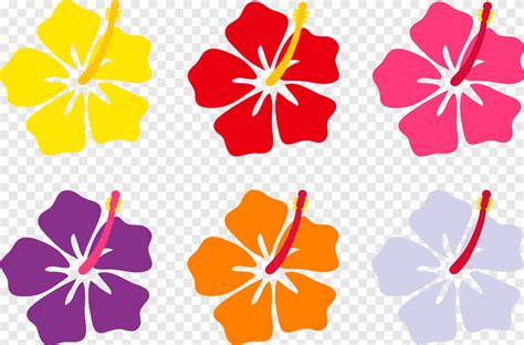 Dibujos Animados Relacionados Con Flores Hawaianas Sujetador De Flores