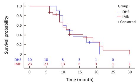 Kaplan Meier Survival Rate Analysis Of Imn Red And Dhs Blue Groups Download Scientific