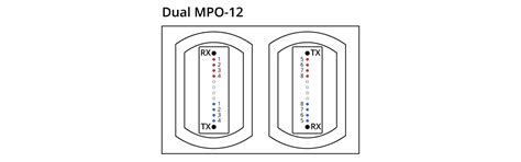 Types Of 800g Optical Transceiver Modules Tands Communications Co Ltd