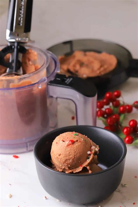 Ninja Creami Sugar Free Peppermint Mocha Ice Cream I Hacked Diabetes