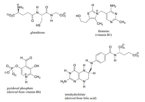 66 Acid Base Properties Of Nitrogen Containing Functional Groups Chemistry Libretexts 66 Acid Base Properties Of Nitrogen Containing Functional Groups Chemistry Libretexts