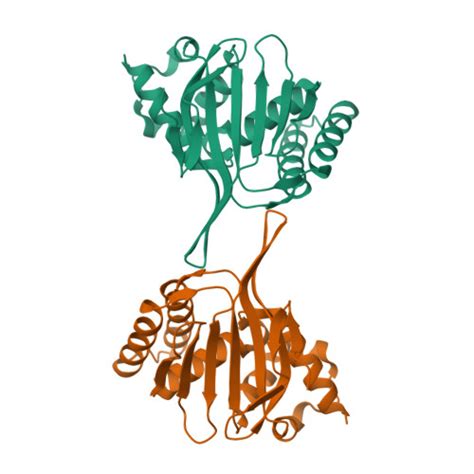 Rcsb Pdb 8dlc Crystal Structure Of Chalcone Isomerase Like Protein From Vitis Vinifera Vvchil