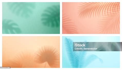 열대 잎 그림자 세트 배경 여름 햇빛과 그늘에있는 잎 야자수의 열대 잎 색상 배경에 괴물 또는 고사리 여름 방학 휴가 인사말 카드 디자인 그림자에 대한 스톡 벡터 아트 및