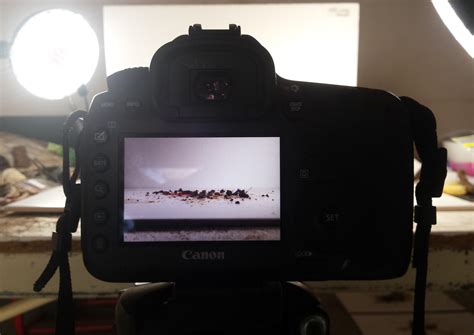 Doom Insects Behance