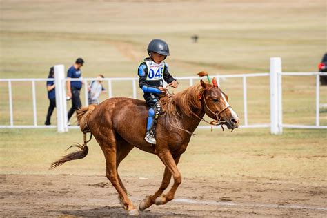 Даншиг наадамд Д Саграадоржийн буурал бунд зүсмийн азарга түрүүллээ