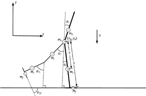 Passivity Based Dynamic Bipedal Walking Model With Flat Feet And Download Scientific Diagram
