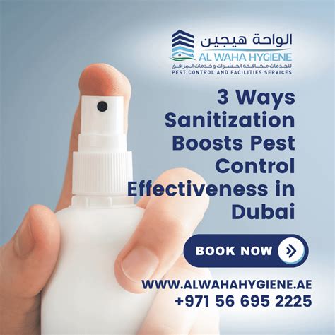 3 Ways Sanitization Boosts Pest Control Effectiveness In Dubai