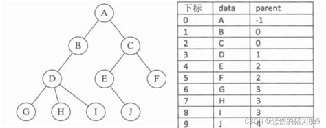 数据结构中“树”的全面讲解 数据结构中“树”的全面讲解