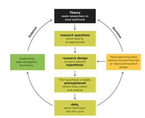 Hdfs 2300 Exam 1 Flashcards Quizlet Hdfs 2300 Exam 1 Flashcards Quizlet