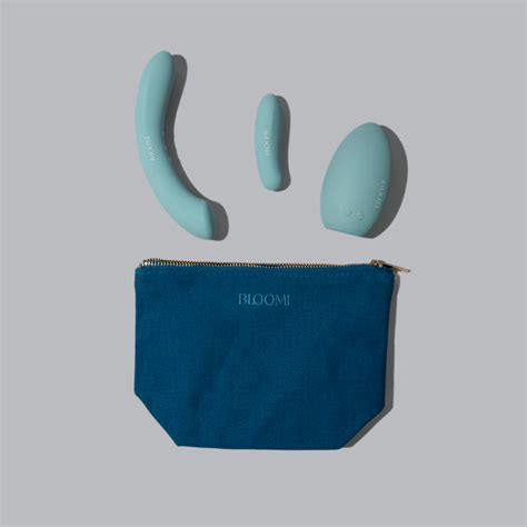 Tote Sex Toy Bag Adult Toy Storage Pleasure Purse Bloomi Tote Sex Toy Bag Adult Toy Storage Pleasure Purse Bloomi