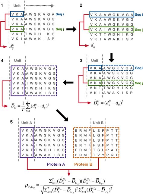 Figure 1 From A Novel Algorithm For Detecting Co Evolutionary Domains