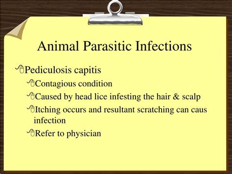 Ppt Disorders Of The Scalp Powerpoint Presentation Free Download Id 630038