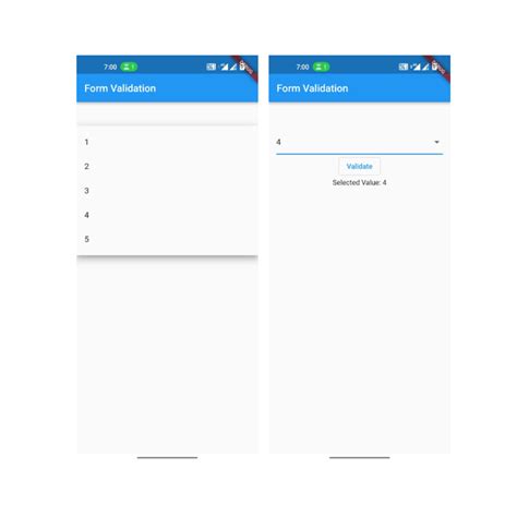 Form Validation In Flutter Flutter Gurus