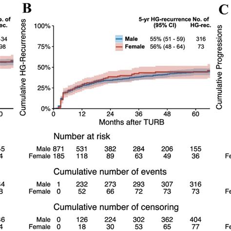 Cumulative Incidence Curves For The Association Of Patients Sex With Download Scientific
