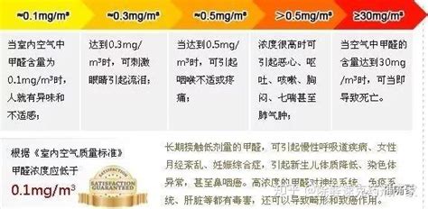 绿植到底能不能除甲醛 知乎
