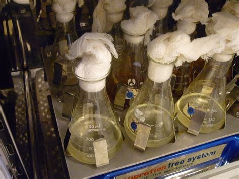 Shake Flask Fermentation Types At Edward Varley Blog