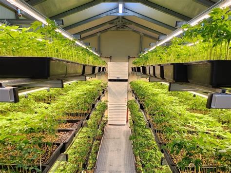 스마트팜 새싹삼 도시농업 창업 은퇴 퇴직 인생2막 청년농부 Band