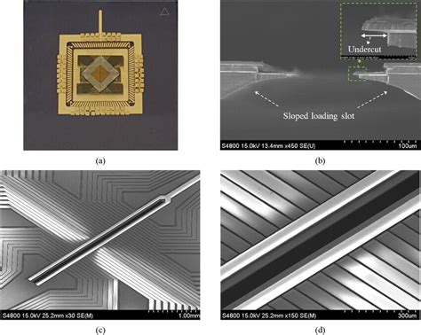 Fabrication Results Of The Designed Ion Trap Chip A An Optical Image