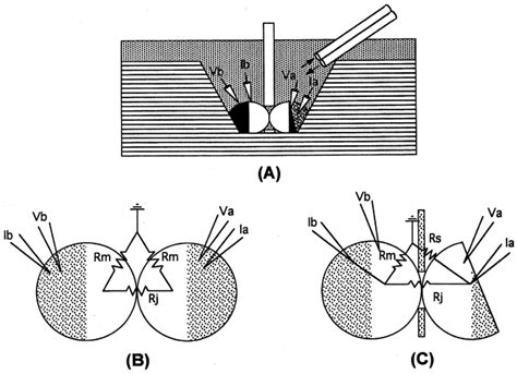 Schematic Representation Of The Dual Oocyte Perfusion Apparatus That
