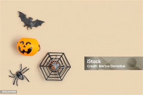 검은 박쥐 거미 오렌지 호박 및 별이있는 할로윈 배경 현대 휴일 디자인 흰색에 할로윈 파티 국경 플랫 레이 상단보기 복사 공간 추수 감사절 가을 장식 사무실에 대한 스톡
