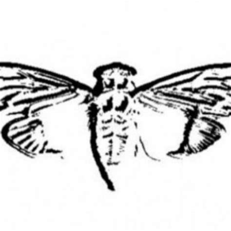 Stream Apollo Lookas Vs Deep In The Night Snails And Pegboard Nerds 1 By Jade Dever