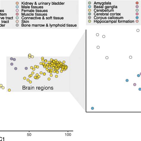Principle Component Analysis Pca Plot Showing The Relation And