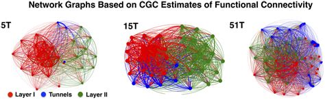 Network Graphs Depicting Functional Connectivity Based On Cgc Causal