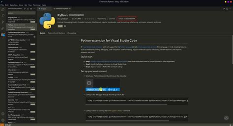 Latest Version Of Extension Not Installing Issue VSCodium