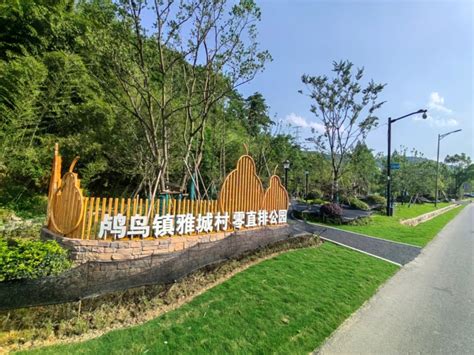 杭州余杭鸬鸟：推进 污水零直排村”建设走深走实