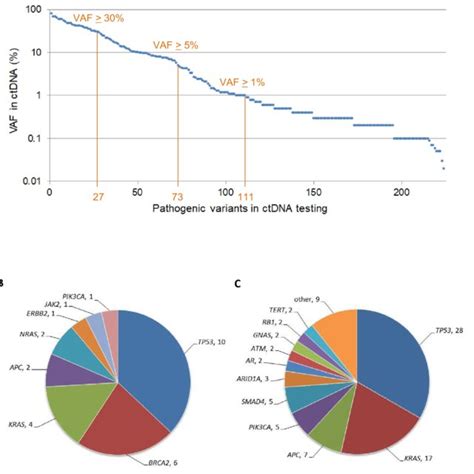 A The Distribution Of Variant Allele Fractions Of Pathogenic Variants Download Scientific