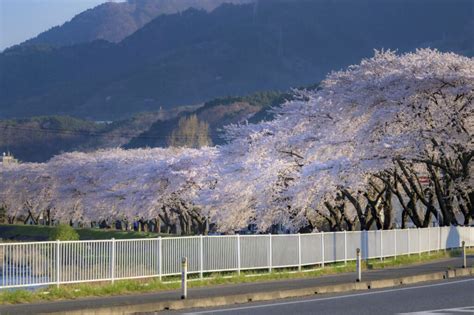 【2023秋 募集中】恋する旅行。大船渡 三陸ツアーズ│岩手県大船渡市│三陸沿岸を満喫するオリジナルツアー
