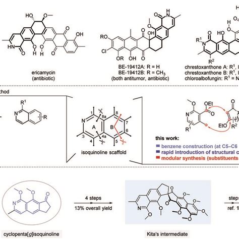 Isoquinoline Analogues And Their Synthesis Download Scientific Diagram
