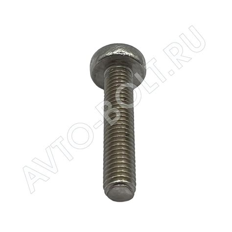 Винт с полукруглой головкой М6 х 30 х 1 - А2 нержавейка TORX — купить в ...