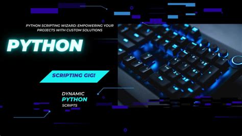Write Professional Python And Scripts For Your Projects By Elonmusrr Fiverr