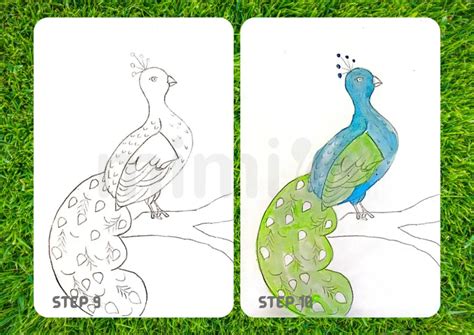 How To Draw A Peacock A Step By Step How To Mimi Panda