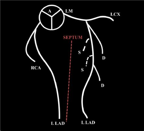 Three Dimensional Volume Rendering With Reconstruction Of Our Patients Download Scientific