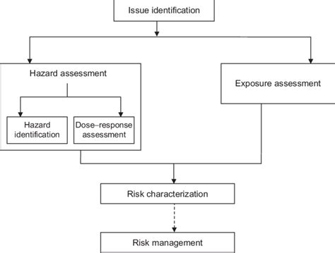 Risk Assessment Process Download Scientific Diagram