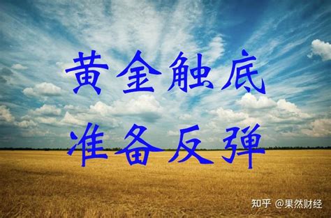 黄金触底准备反弹 知乎