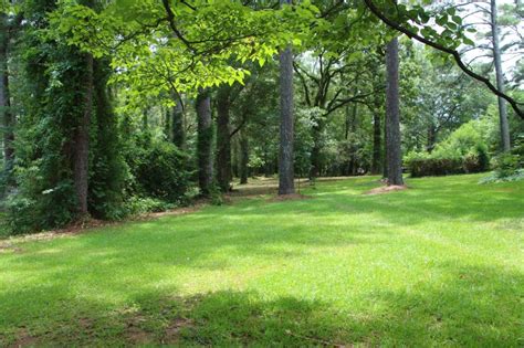 Jordan Mcbride On Linkedin ⚡youre Following People Who Are Custom Building⁠ ⁠ ⚡you Have