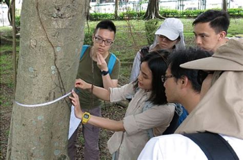 Tree Project Counts On Citizen Scientists Babe Of Biological Sciences