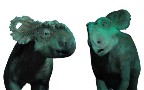 Patchi And Juniper By Dracoawesomeness On Deviantart