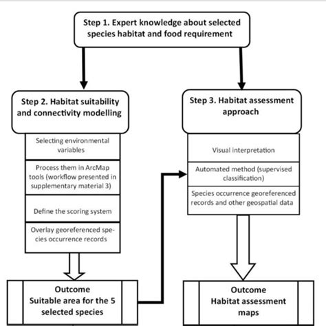 Workflow Analysis And Outcomes In This Study Download Scientific Diagram