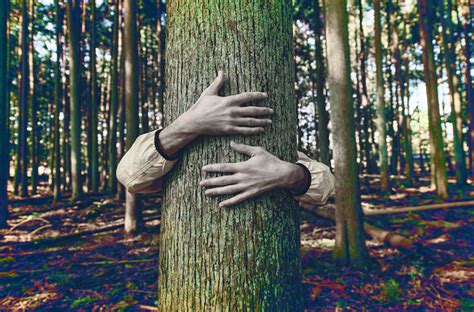 What Do The Current Forest Conservation Laws In India Mean For Its