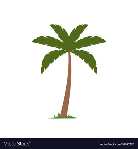 Cartoon Palm Tree Beach Coconuts Tree Royalty Free Vector