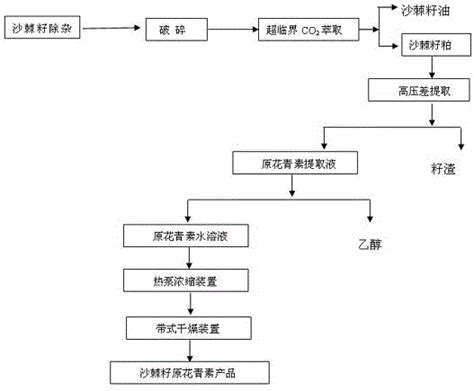 一种室温高效高压差连续式提取沙棘籽原花青素的方法与流程