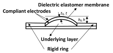 Schematic Diagram Of A Buckling Dielectric Elastomer Actuator Download Scientific Diagram