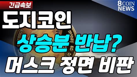 도지코인 긴급속보 상승분 반납 머스크 정면 비판 Youtube