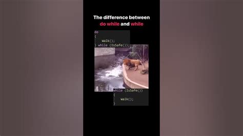 Whats The Difference Between Do While And While 🤔💻 Codetips