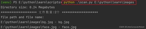 生信技能5 Python脚本扫描指定目录，输出文件大小、数量、文件路径和文件名 知乎